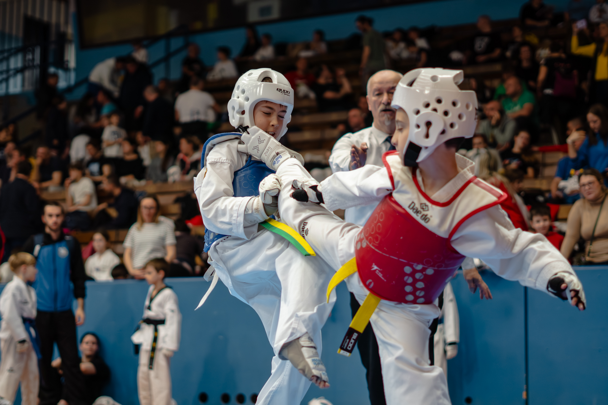 Feniks Budo Sport Kup 2024 - Hrvatski taekwondo savez